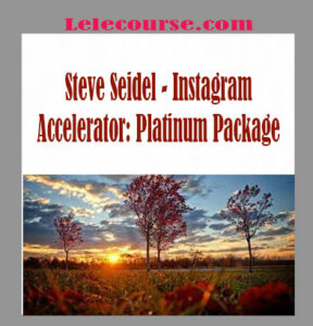 Steve Seidel - Instagram Accelerator: Platinum Package - LeLe Course